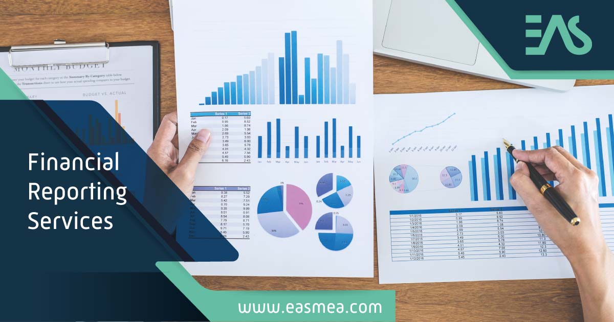 Expert Financial Reporting Services in Dubai