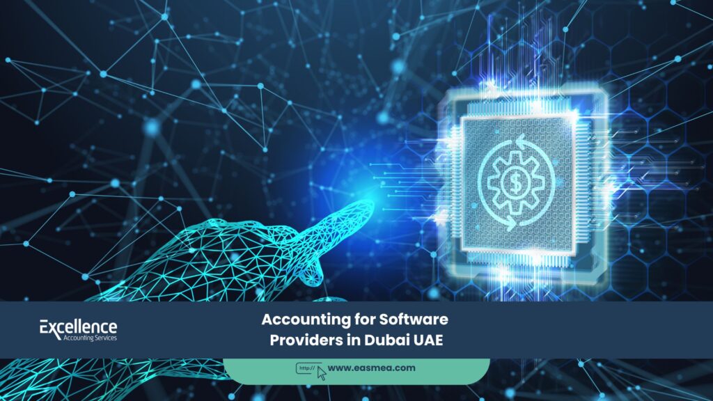 Accounting for Software Providers in Dubai, UAE